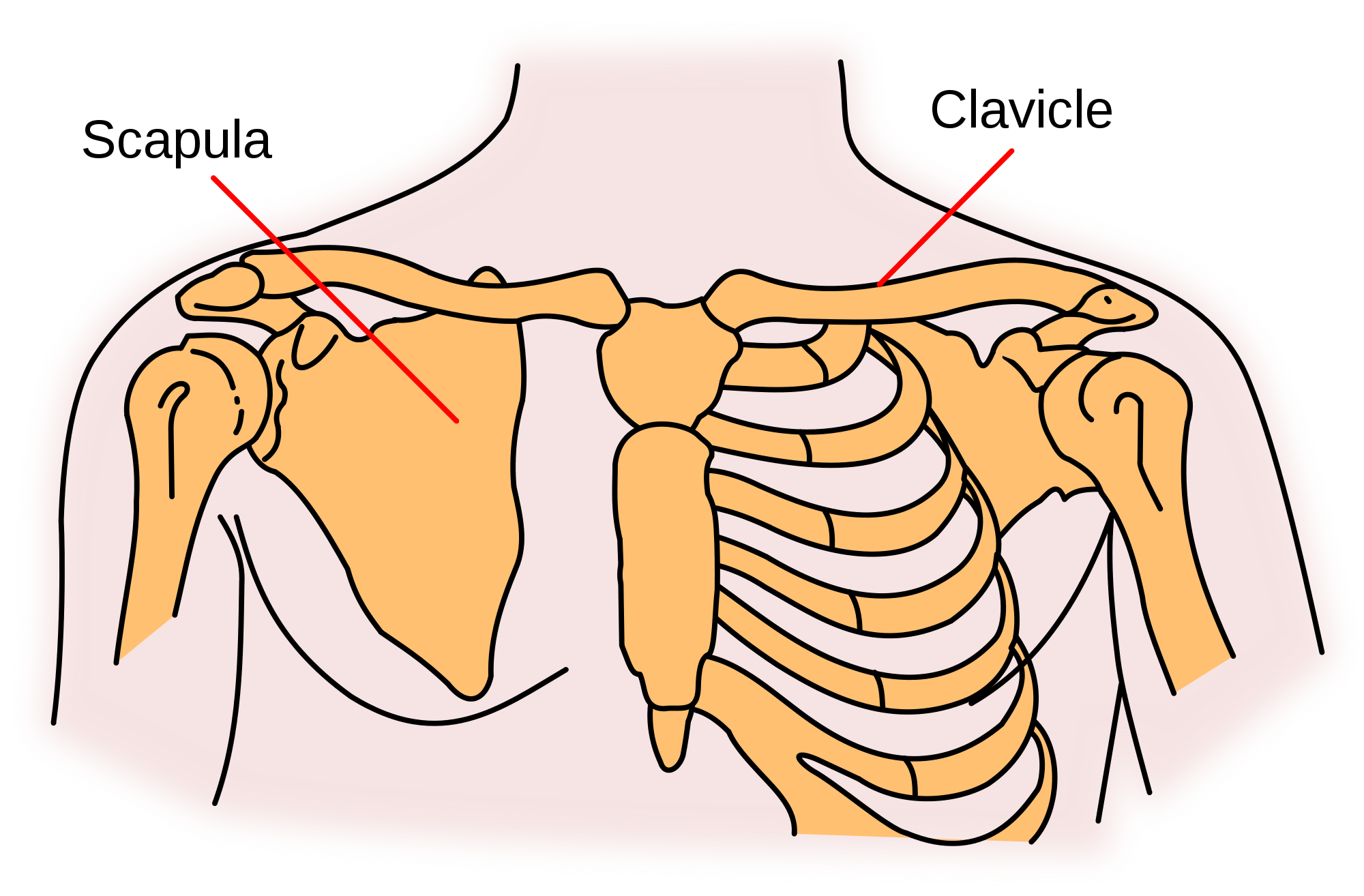 5 Tips To Improve Handwriting For Adults | Edugage